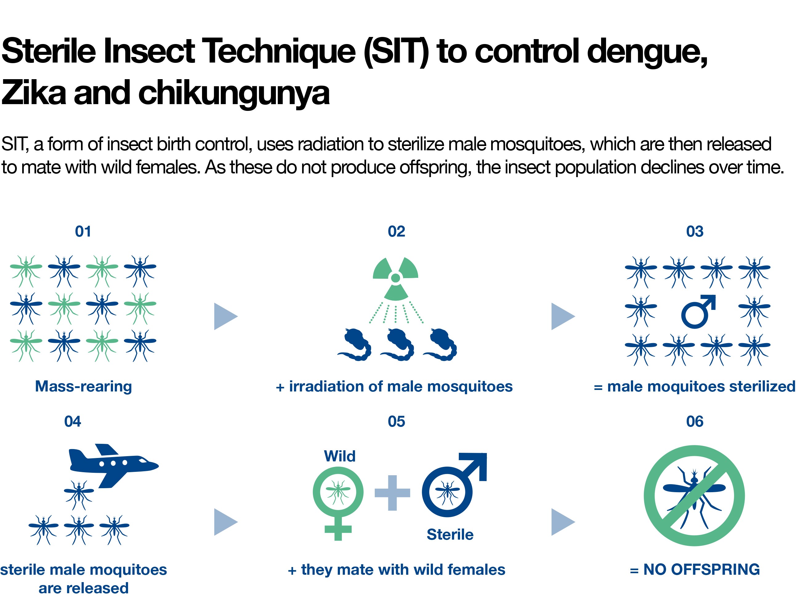 Scientists in Tahiti prepare to release sterilized mosquitoes to ...