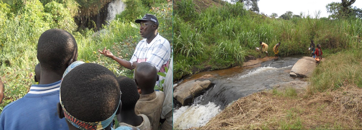 Moxidectin: a new drug for NTDs