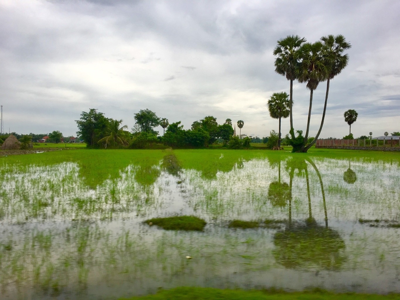 How serious is dengue in Thailand?